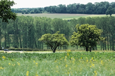 Kent Cycle Routes - with Cycling maps